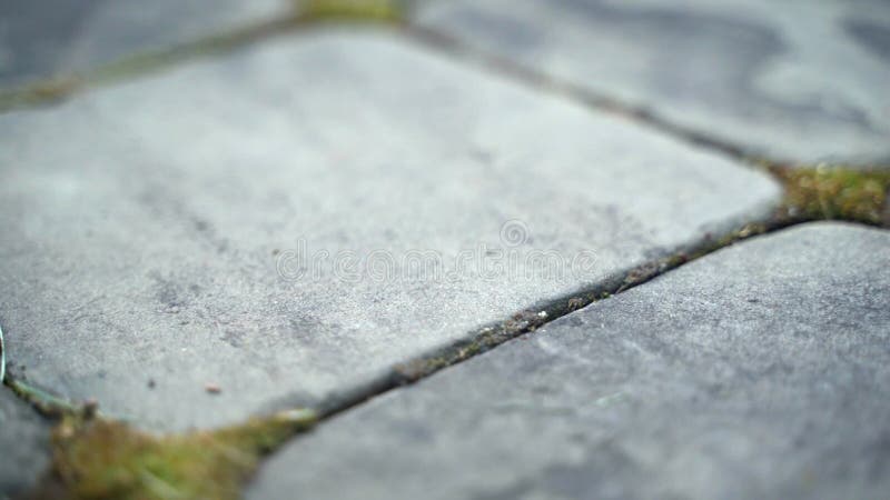 Stone Tiles Pattern, Background Texture, Close-up Slow Panoramic Motion ...