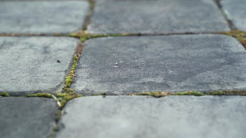 Stone Tiles Pattern, Background Texture, Close-up Slow Panoramic Motion ...