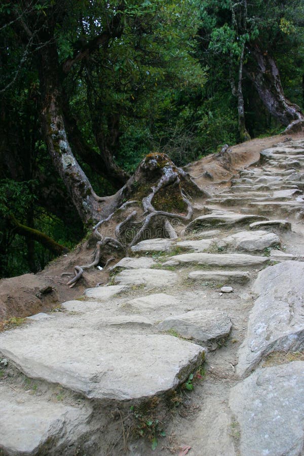 Stone trail stock photo. Image of peak, himalayas, roots - 29114066