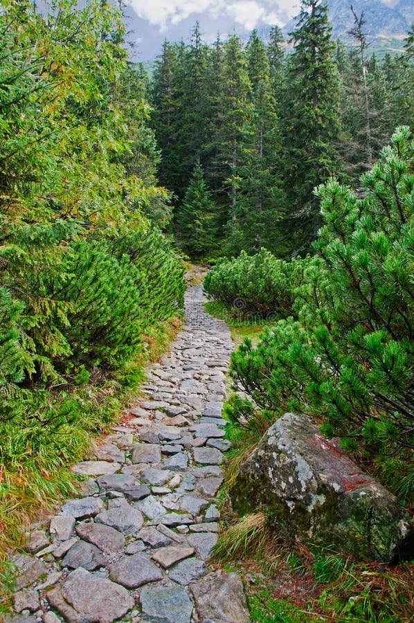 Stone trail stock image. Image of green, perspective - 32862605