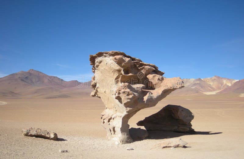 Stone Tree stock photo. Image of stones, desolated, mountains - 11359538