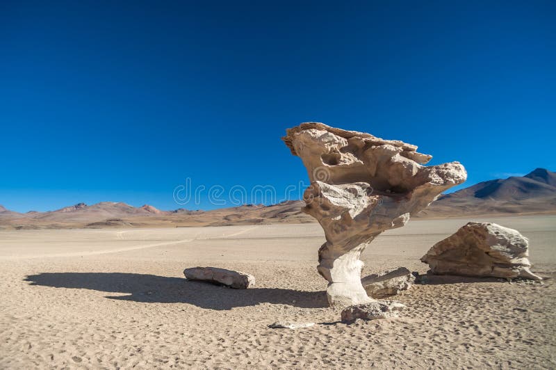 Stone Tree stock image. Image of desert, landscape, salt - 29488217