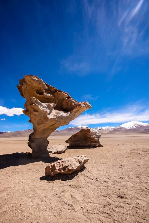 Stone Tree stock photo. Image of bizarre, monument, andes - 46808538