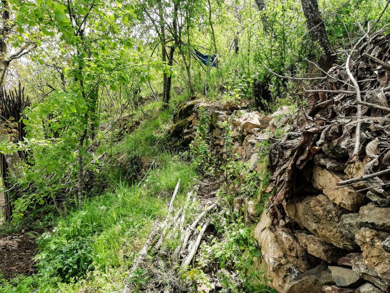 Stone and tree stock photo. Image of gorgeous, cloud - 148199676