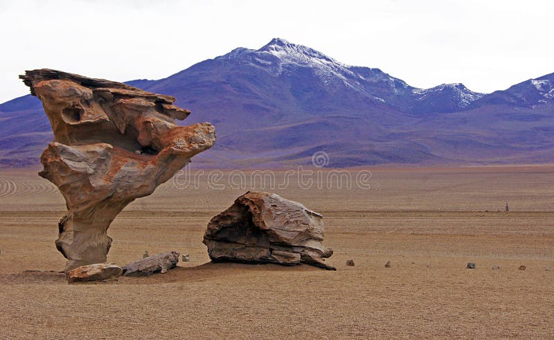 The Stone Tree, Siloli Desert - Altiplano, Bolivia Stock Image - Image ...