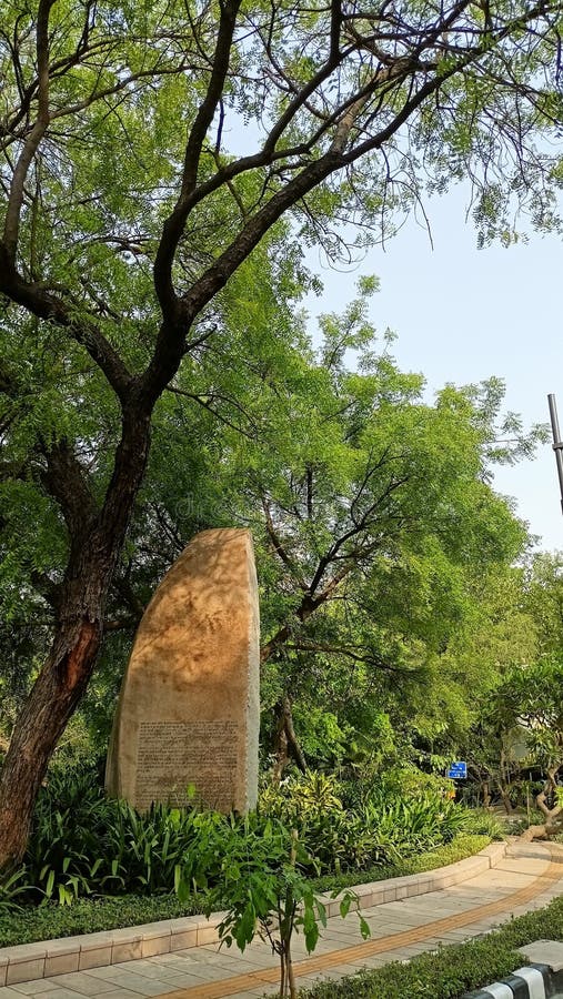 Stone and trees in a park stock image. Image of flower - 277368959