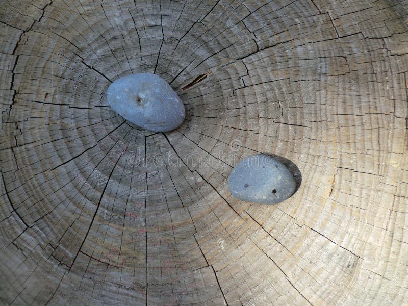 Stone on a trunk stock photo. Image of stone, chop, chopped - 53442118