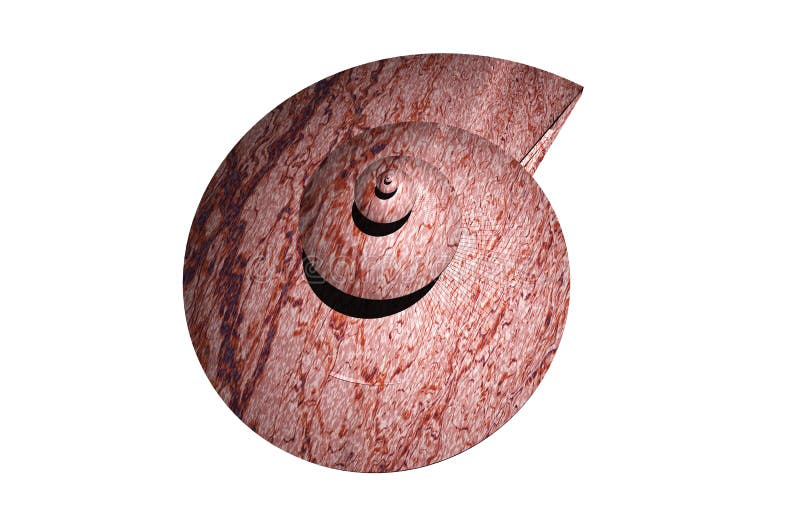 Stone turned snail shell stock image. Image of limestone - 198582093