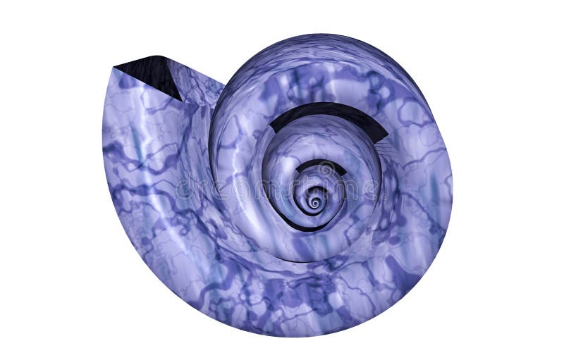 Stone turned snail shell stock illustration. Illustration of shell ...