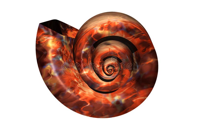 Stone turned snail shell stock illustration. Illustration of housing ...