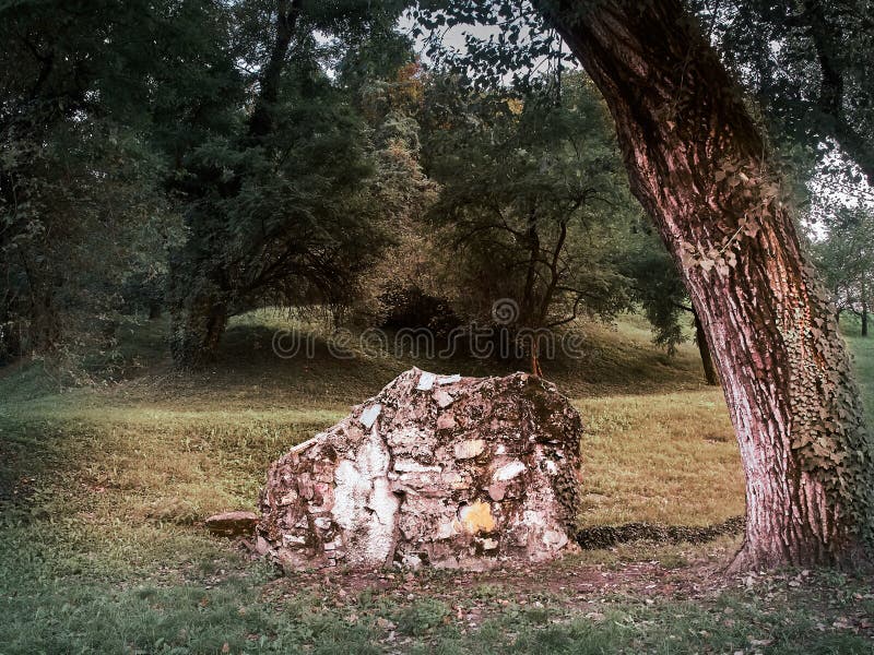 A stone under the tree stock photo. Image of maple, milan - 128032410
