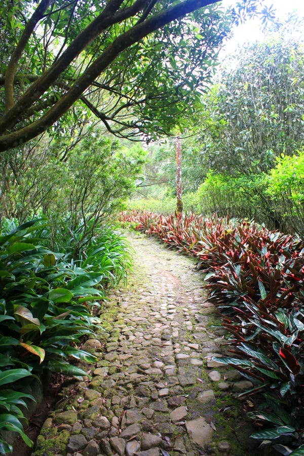 Tropical Walkway stock photo. Image of florida, journey - 68489934