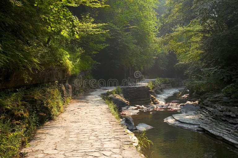 Stone Walkway 3 stock photo. Image of stream, woods, stone - 166154
