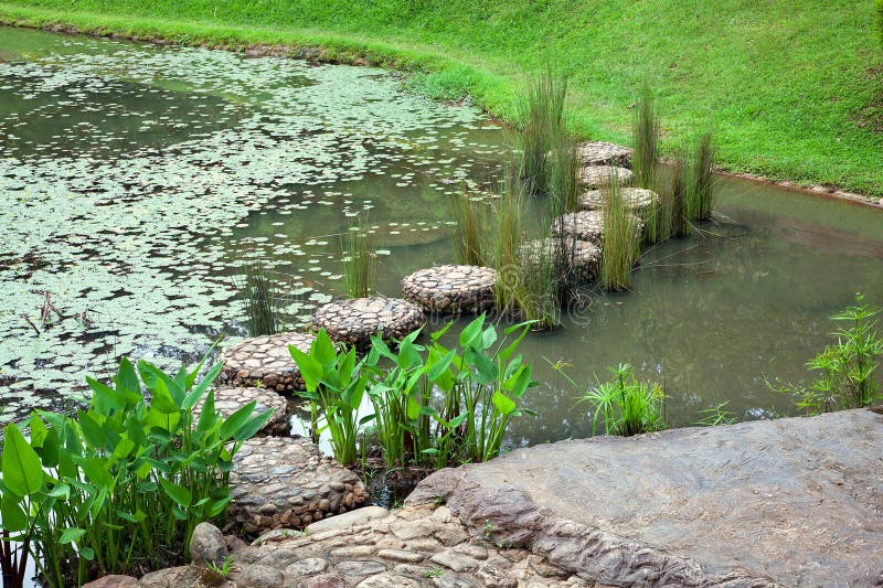 Walkway Across River Made of Large Boulders Stock Image - Image of fish ...