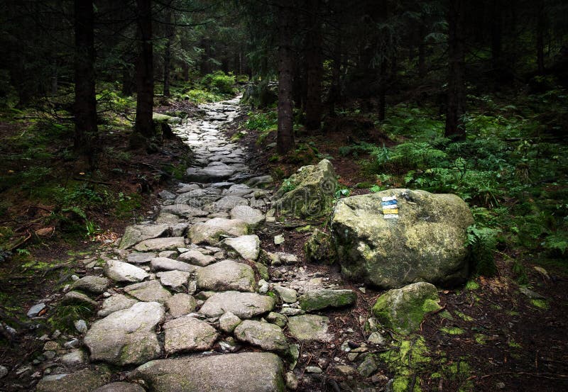Old Stone Path In A Dense Forest Stock Photo - Image of solitude, rough ...