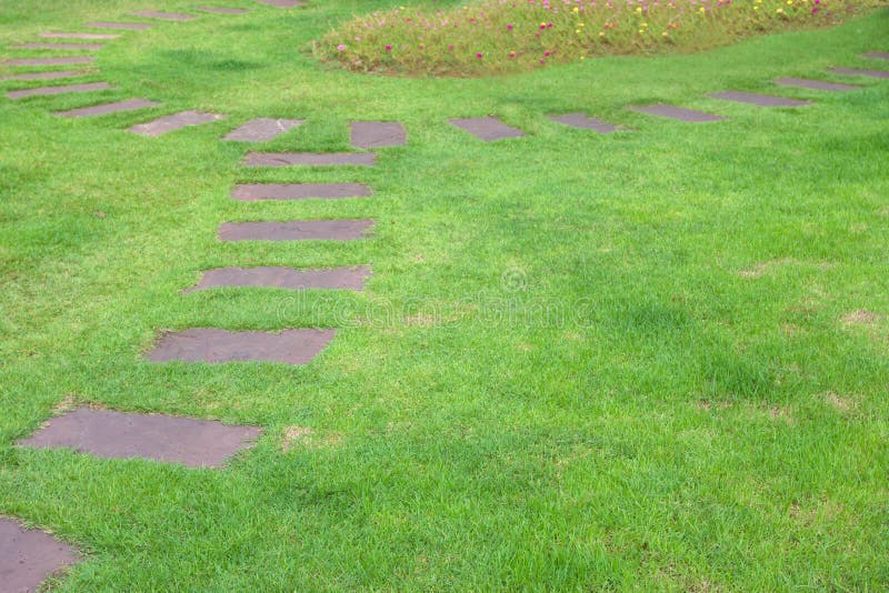 Stone Walkway and Green Grass in Garden Stock Photo - Image of hope ...