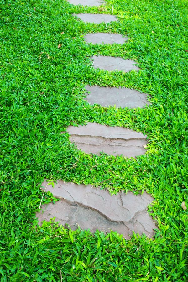Stone walkway in garden stock image. Image of paved, green - 30861387