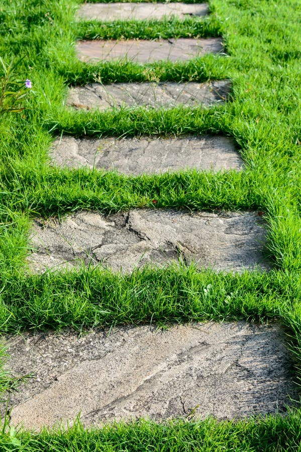 Stone walkway stock image. Image of footpath, garden - 62772957