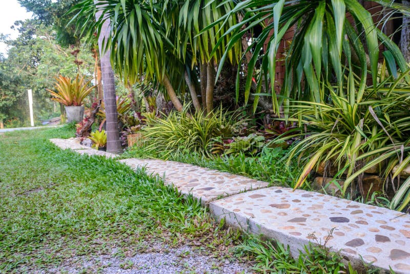 Stone Walkway in the Garden Stock Image - Image of nature, harmony ...