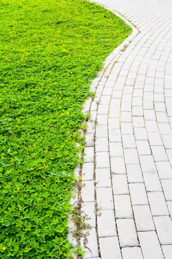 Stone Walkway through Grass Field Stock Image - Image of outdoor ...