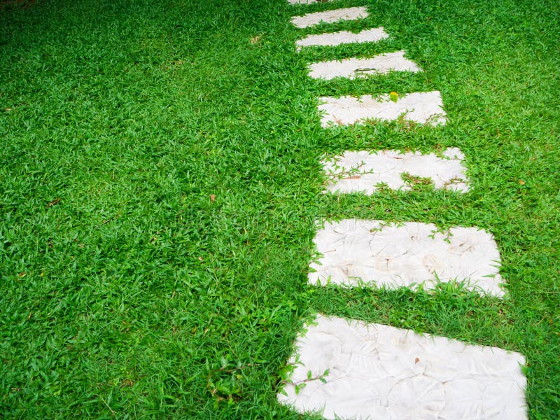Stone walkway on grass stock photo. Image of direction - 72020216