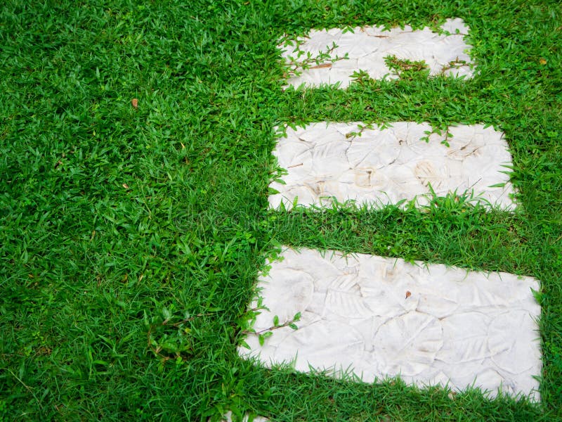 Stone walkway on grass stock image. Image of lawn, leaf - 72020395