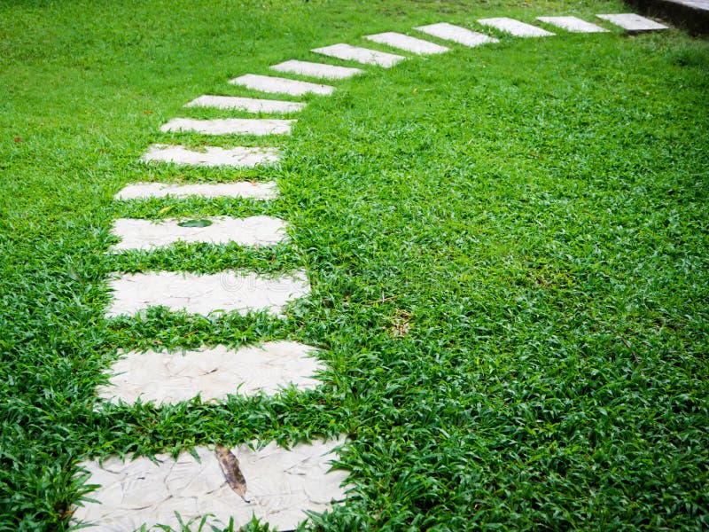 Stone walkway on grass stock image. Image of grass, leaf - 72020489