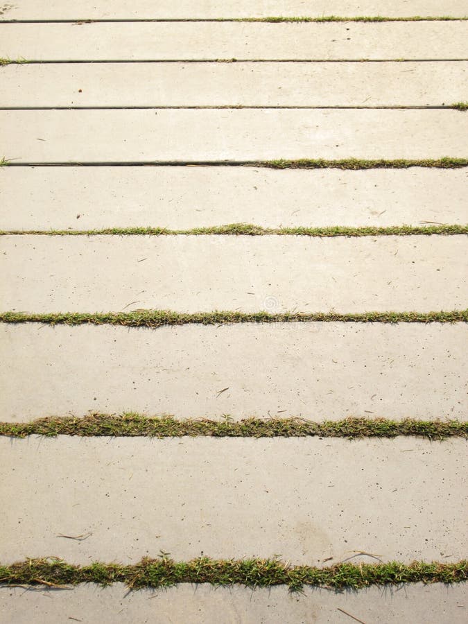 475 Grassy Road Texture Stock Photos - Free & Royalty-Free Stock Photos ...