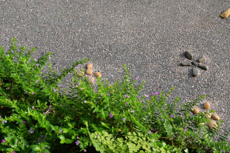 Grey Stone Road Walkway with Green Garden, Exterior Design Stock Photo ...