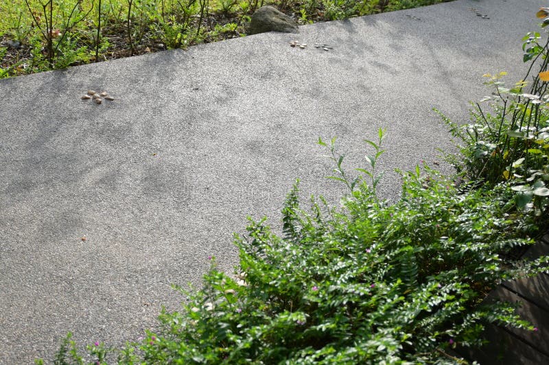 Stone Road Walkway with Green Lush Garden, Exterior Design Stock Image ...