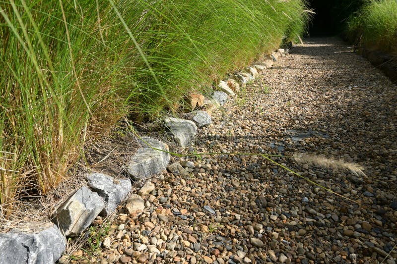 Stone Walkway with Green Garden, Exterior Design Stock Photo - Image of ...