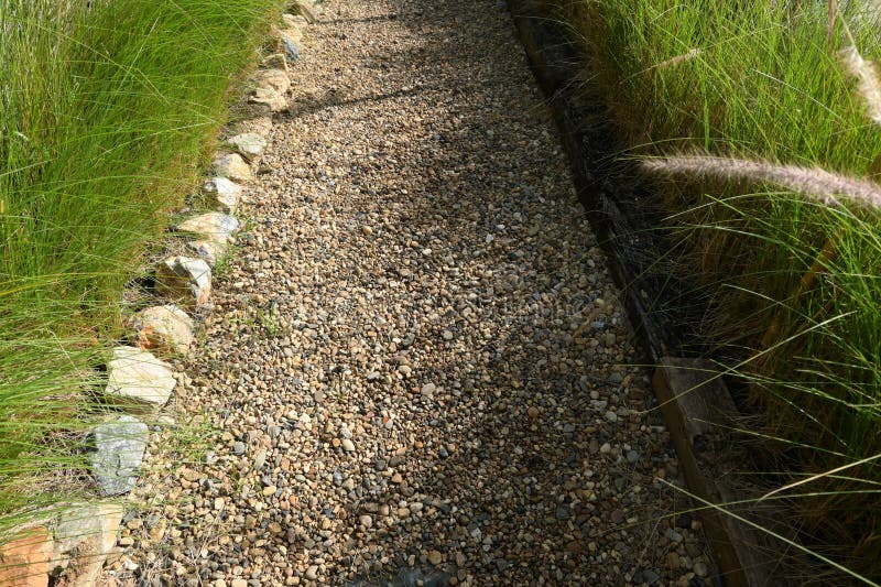 Stone Walkway with Green Garden, Exterior Design for Home Stock Image ...