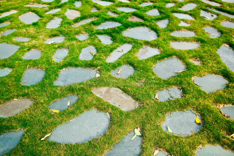 Stone Walkway in the Green Grass Stock Photo - Image of geometric ...