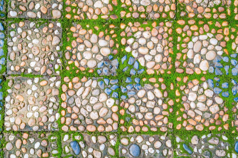 Stone Walkway with Green Moss . Stock Image - Image of pattern ...