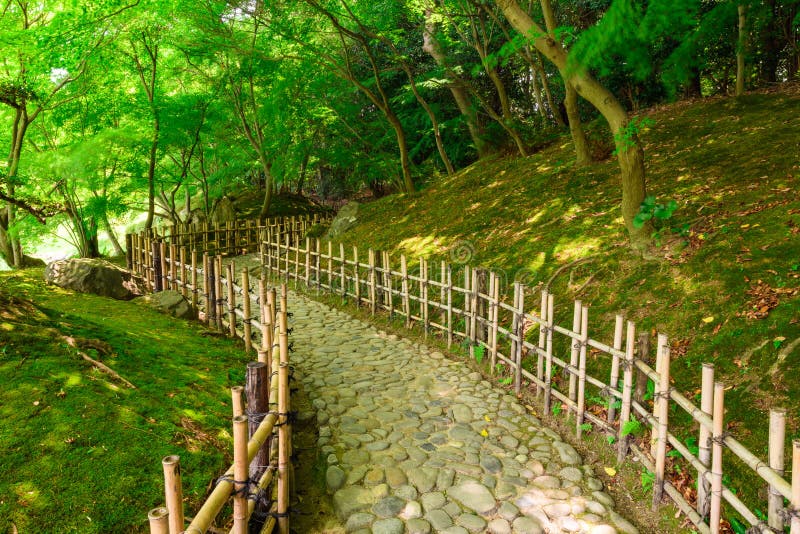 Stone Walkway in Japanese Garden Stock Image - Image of tree, nature ...