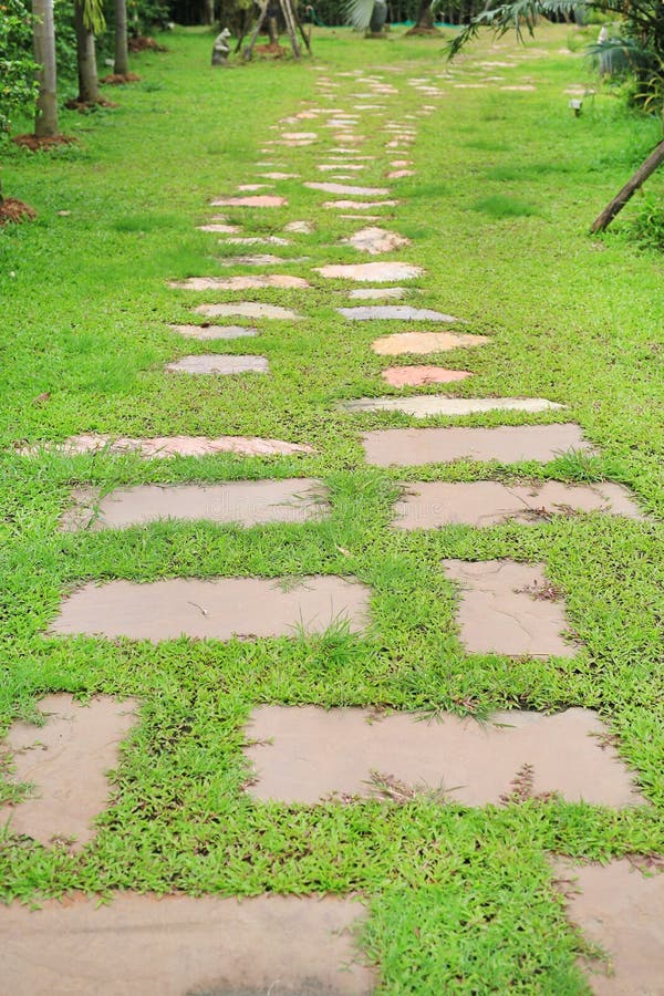 Stone Walkway in the Park with Green Grass Background Stock Photo ...