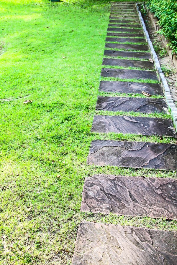 Stone Walkway with Old Green Rustic Moss Grass Stock Photo - Image of ...