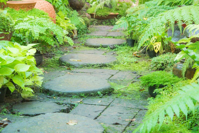 Stone walkway stock photo. Image of floor, flagstone - 48186118