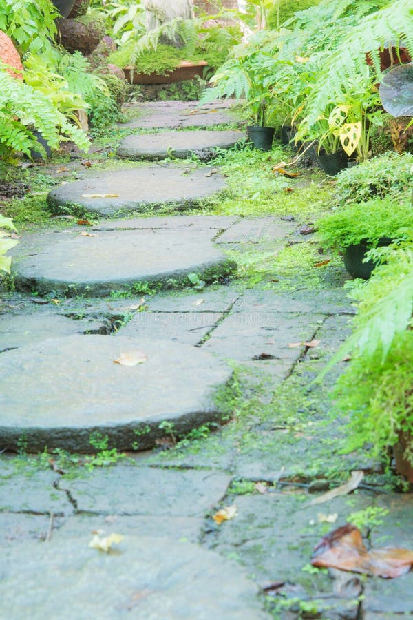 Stone walkway stock photo. Image of nature, pattern, stepping - 47682294