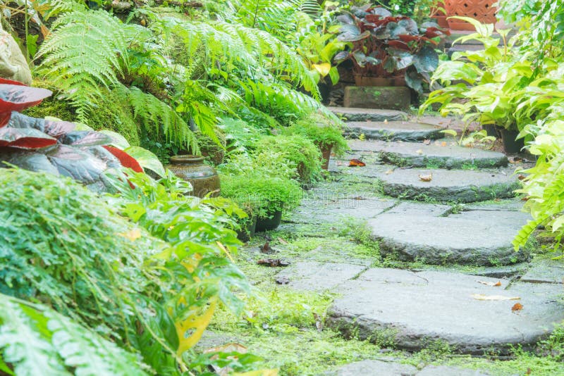 Stone walkway stock photo. Image of floor, flagstone - 48186118