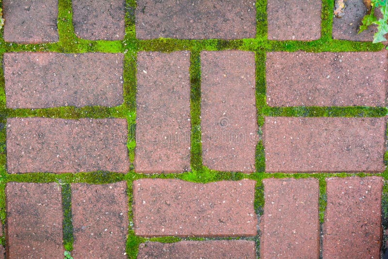 Stone Walkway Red Bricks Floor Texture with Moss. Old Street Pavement ...
