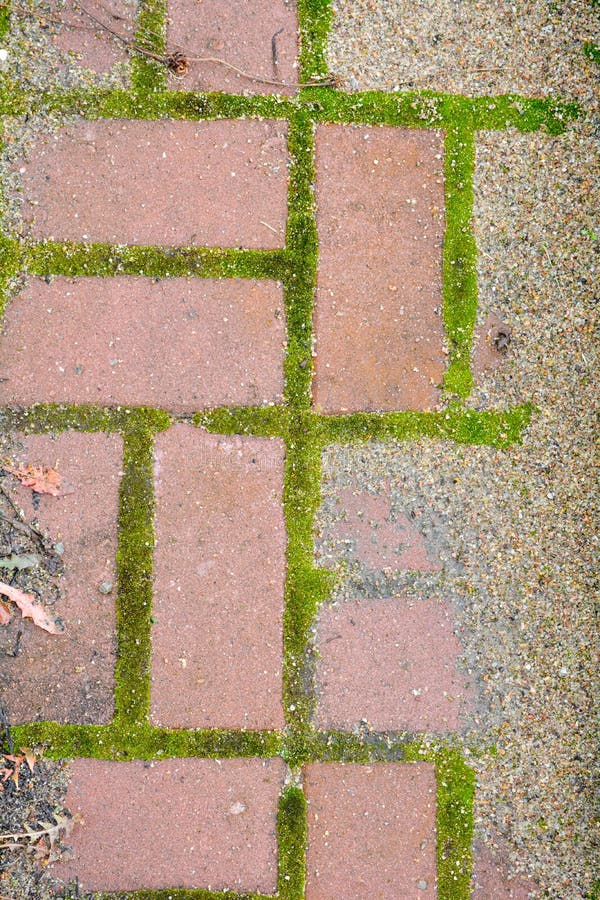 Stone Walkway Red Bricks Floor Texture with Moss. Old Street Pavement ...