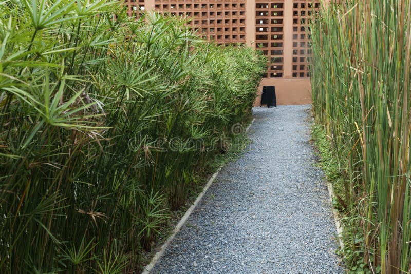 Stone Walkway through in the Reeds Stock Photo - Image of peaceful ...