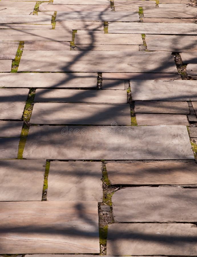 A Stone Walkway with Shadows from a Tree Across it Stock Image - Image ...