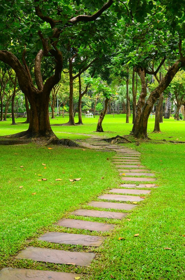 Stone walkway to garden stock photo. Image of outdoor - 27181398