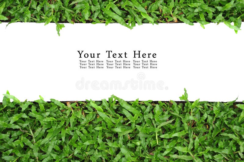 Stone Walkway Winding in Garden Stock Photo - Image of curve, natural ...