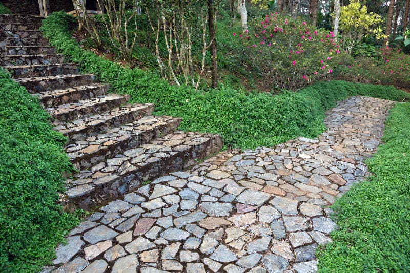 Stone walkways. stock image. Image of forest, road, grass - 282732611