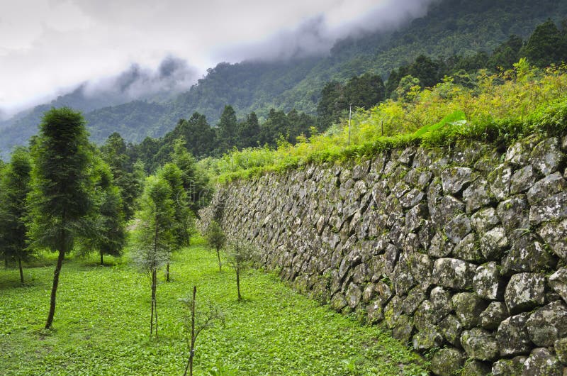 Stone Wall stock photo. Image of lichen, scenery, forest - 26111836