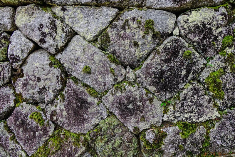 348 Japan Stone Tile Texture Photos - Free & Royalty-Free Stock Photos ...