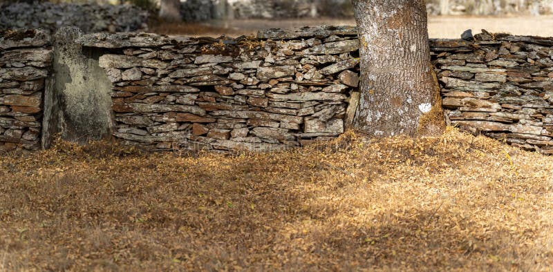 Stone Wall Around the Farm with Tree Trunk in the Middle Stock Image ...